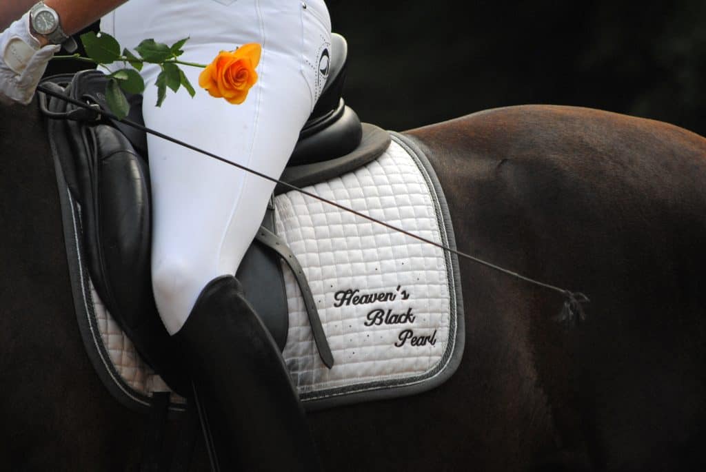 Turnier für junge Pferde - Reitverein Friedrichstal